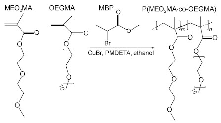 无规共聚物P(MEO2MA-co-OEGMA)的合成及其在水溶液中温度诱导相转变行为