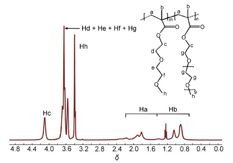 无规共聚物P(MEO2MA-co-OEGMA)的合成及其在水溶液中温度诱导相转变行为