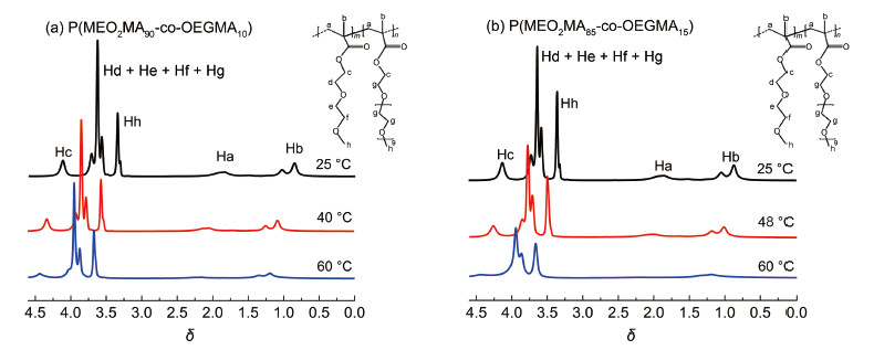 无规共聚物P(MEO2MA-co-OEGMA)的合成及其在水溶液中温度诱导相转变行为
