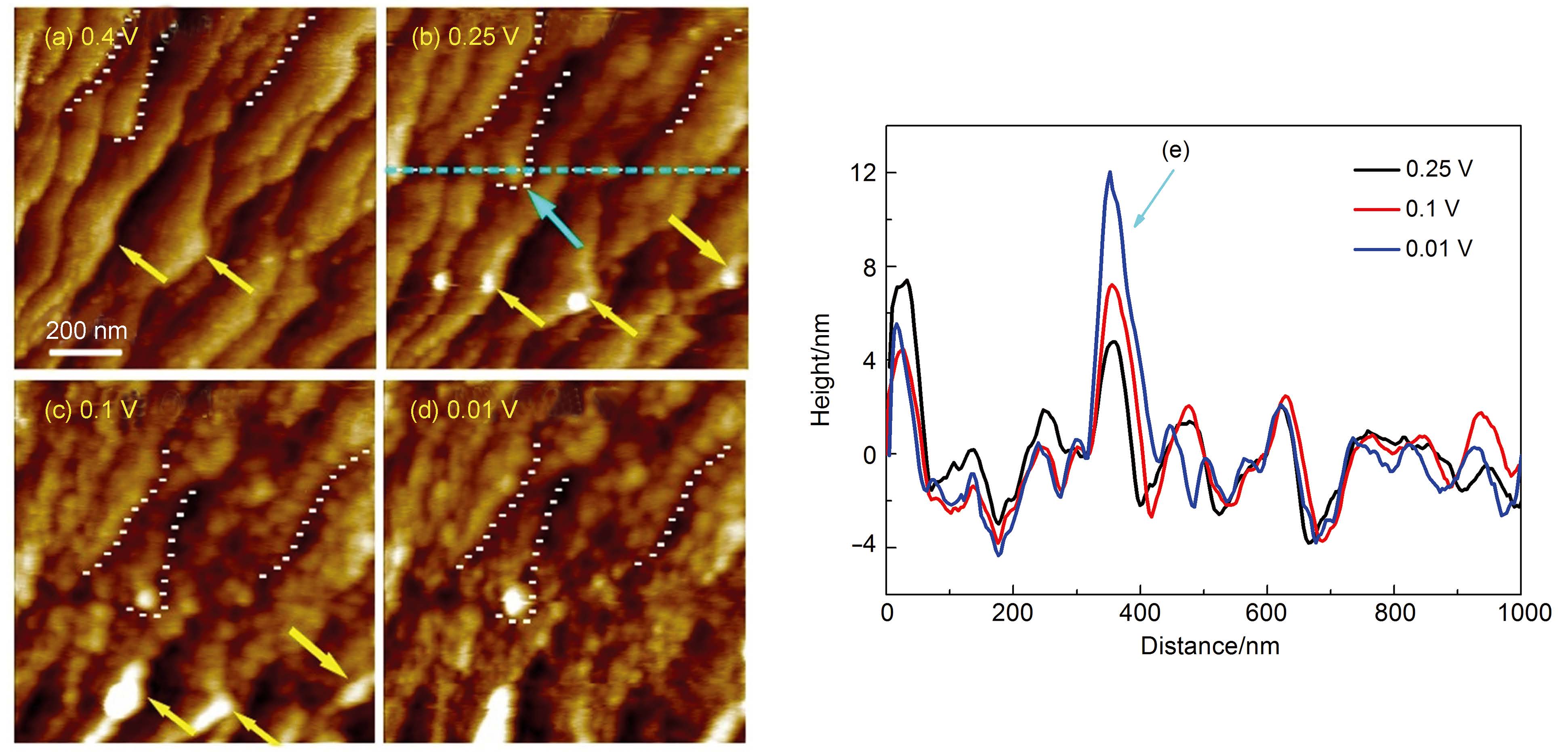 单晶硅片负极界面形貌的原位AFM探测