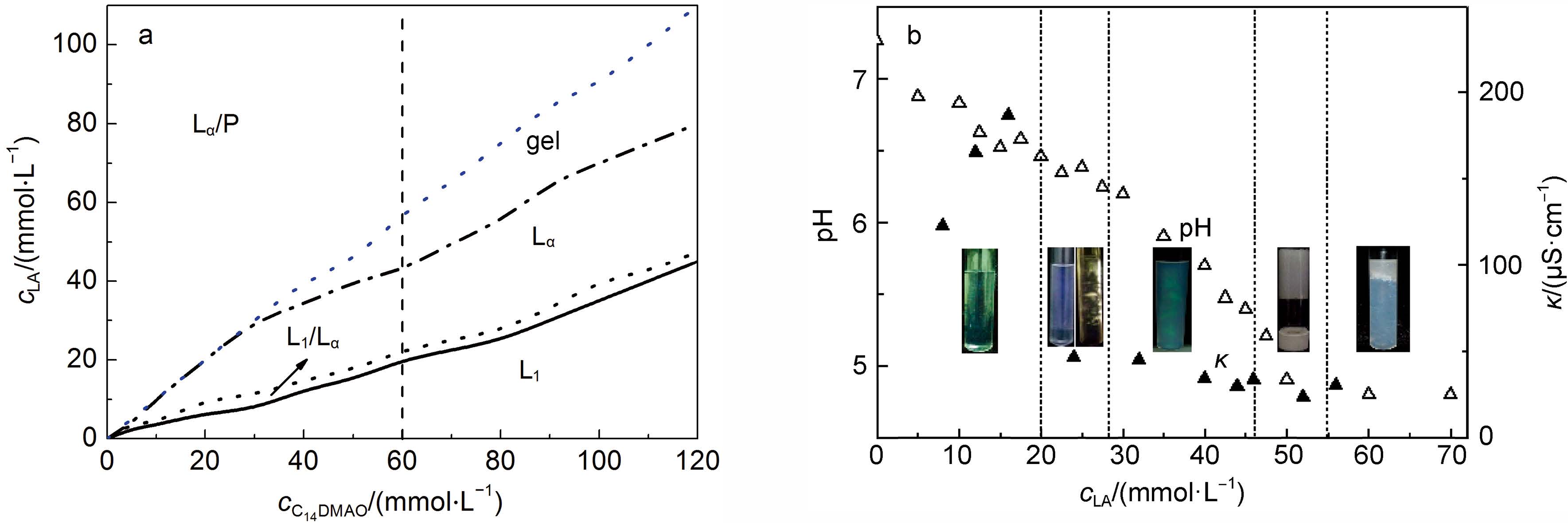 LA/C14DMAO/H2O体系多结构自组装体及其模板金纳米材料制备与性能