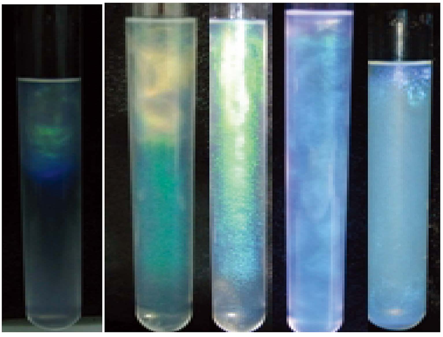 LA/C14DMAO/H2O体系多结构自组装体及其模板金纳米材料制备与性能