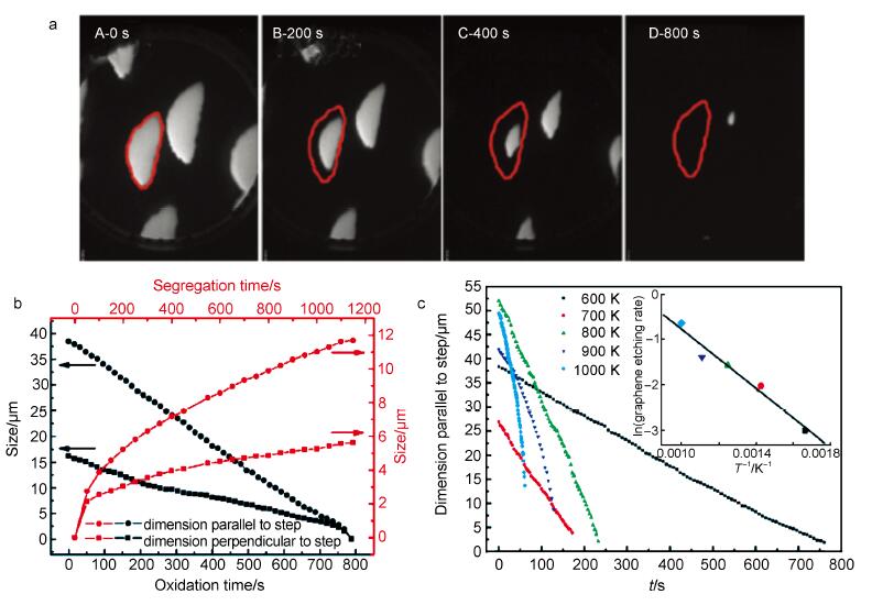 PEEM/LEEM技术在两维原子晶体表面物理化学研究中的应用