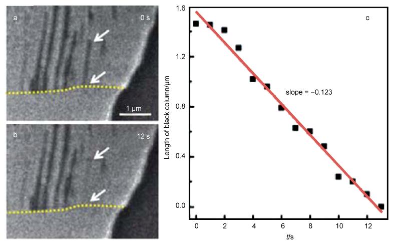 PEEM/LEEM技术在两维原子晶体表面物理化学研究中的应用