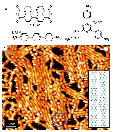 超高真空条件下表面辅助反应