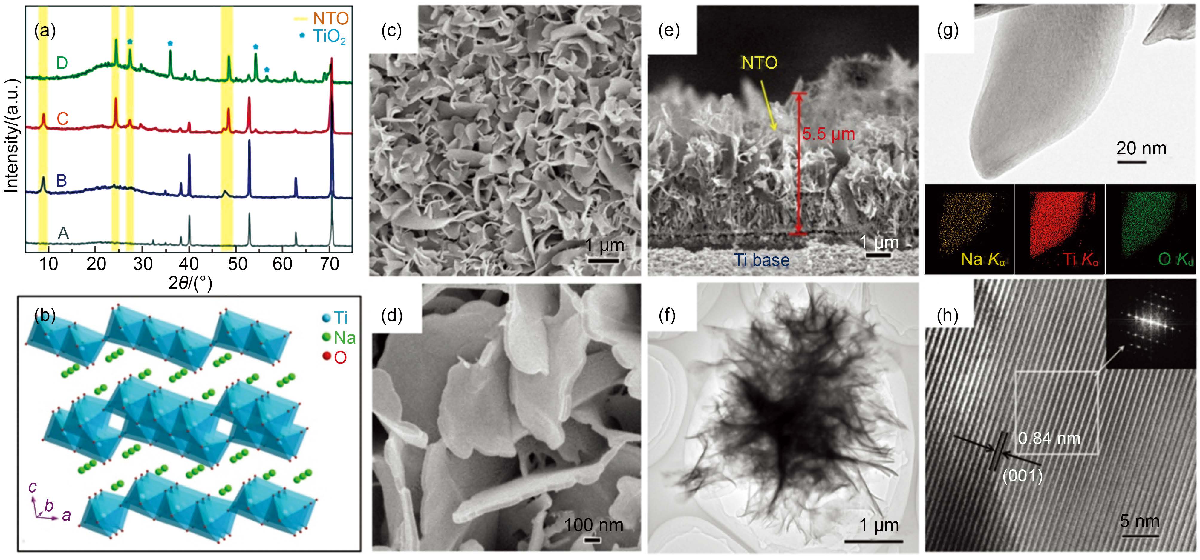 Na2Ti3O7纳米片原位制备与钠离子电池负极材料应用