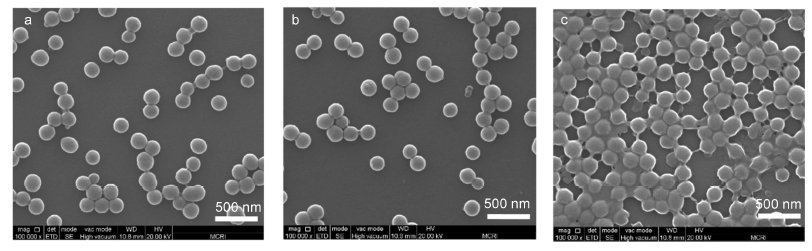 阴离子对SiO2-PNIPAM构筑温敏Pickering乳液稳定性的影响
