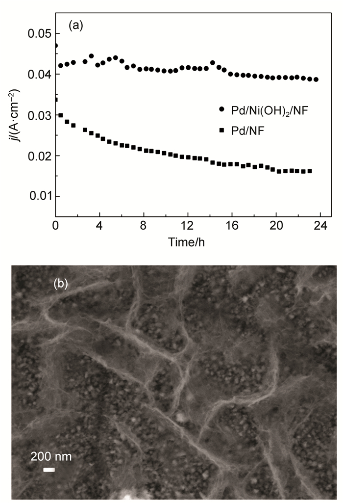 原位生长Pd/Ni(OH)2/NF复合催化剂及其析氢性能