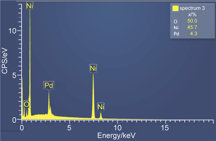 原位生长Pd/Ni(OH)2/NF复合催化剂及其析氢性能