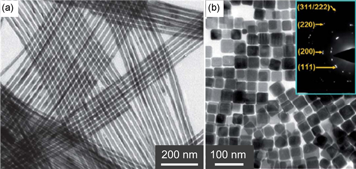 铜纳米线的液相制备及其表面修饰研究进展