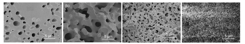 SiO2阶层多孔结构搭建及块体材料制备机理