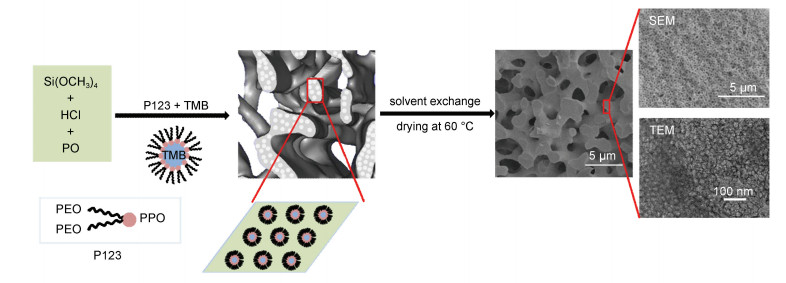 SiO2阶层多孔结构搭建及块体材料制备机理