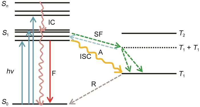 单重态激子裂分的研究进展