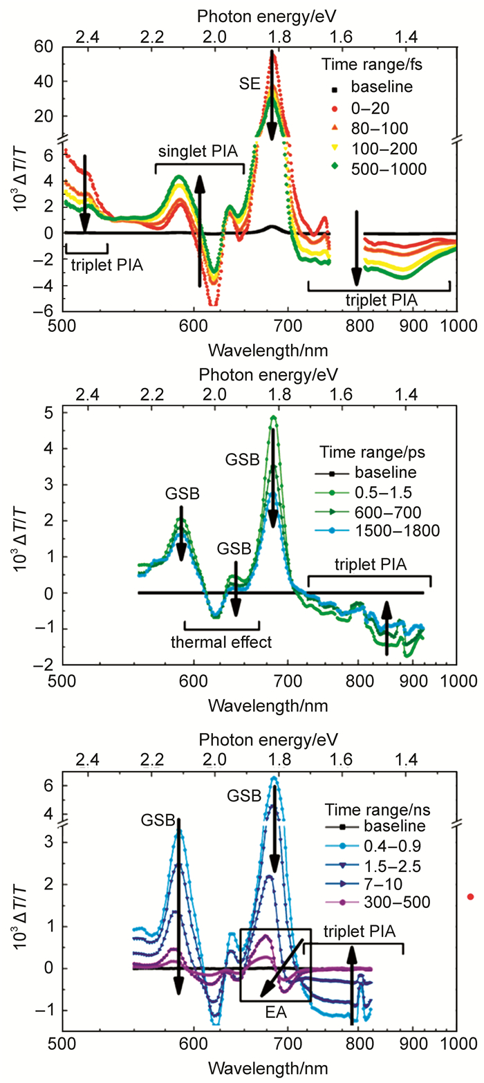 单重态激子裂分的研究进展