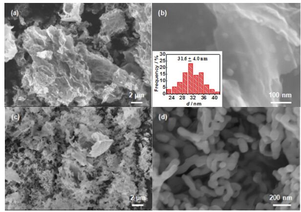 锂氧电池双功能还原石墨烯-LaFeO3复合纳米催化剂的制备及性能