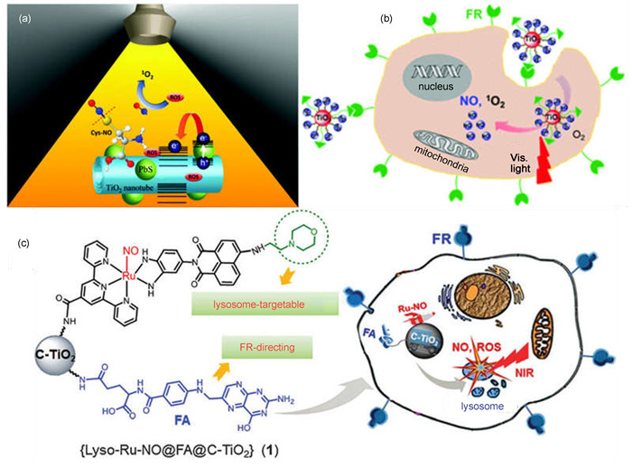 可释放一氧化氮纳米材料的研究进展