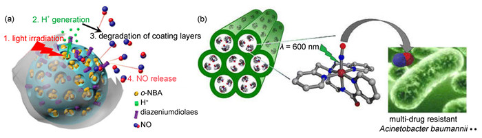 可释放一氧化氮纳米材料的研究进展