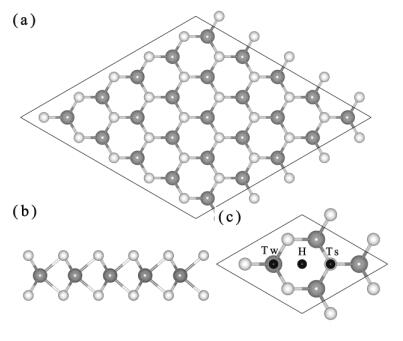 Fe原子吸附对单层WS2结构和性质的影响