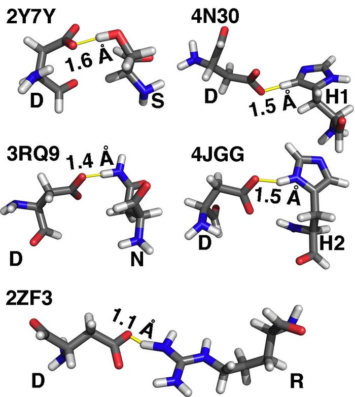 Quantifying Electronic Effects in QM and QM/MM Biomolecular Modeling ...