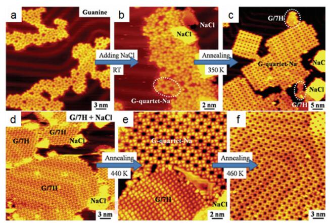 超高真空条件下碱基与金属在Au(111)表面的相互作用