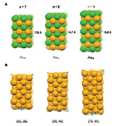 Structural Evolution Patterns of FCC-Type Gold Nanoclusters