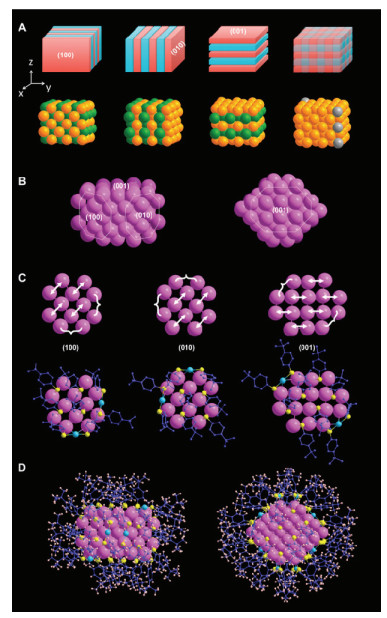 Structural Evolution Patterns of FCC-Type Gold Nanoclusters
