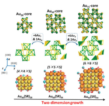 Structural Evolution Patterns of FCC-Type Gold Nanoclusters