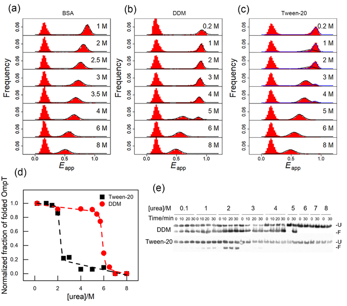 OmpT在Tween-20胶束中折叠的单分子研究