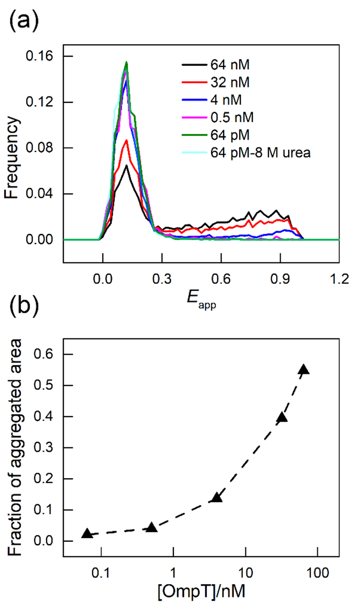 OmpT在Tween-20胶束中折叠的单分子研究