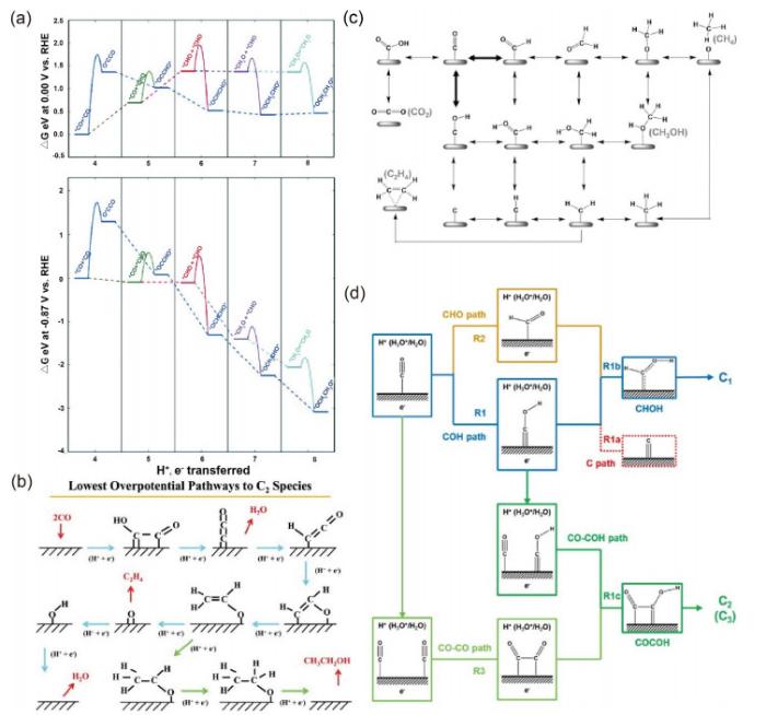 电催化CO2还原合成C2+产物的机理和材料研究进展