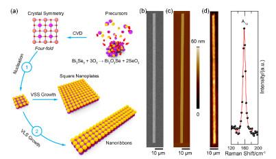 Bi2O2Se纳米带的气-液-固生长与高性能晶体管的构筑