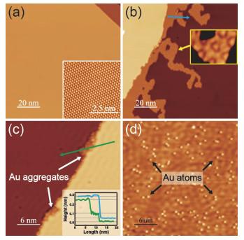单原子分散的Au/Cu(111)表面合金的表面结构与吸附性质