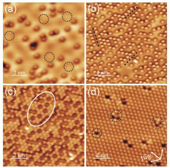 单原子分散的Au/Cu(111)表面合金的表面结构与吸附性质