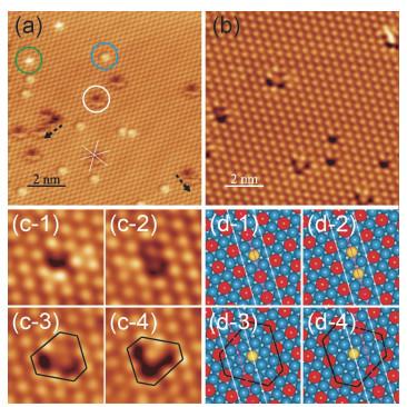 单原子分散的Au/Cu(111)表面合金的表面结构与吸附性质