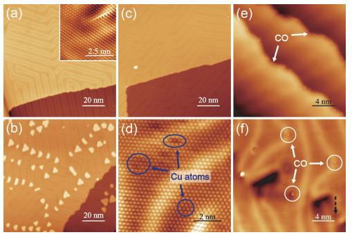 单原子分散的Au/Cu(111)表面合金的表面结构与吸附性质