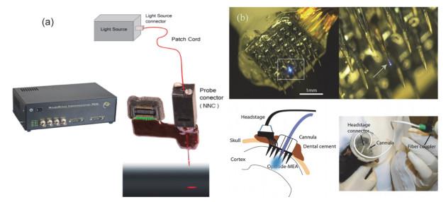 植入式光电极器件发展