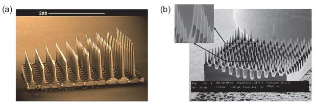 面向脑机接口的犹他神经电极技术