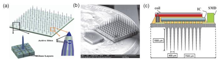 面向脑机接口的犹他神经电极技术