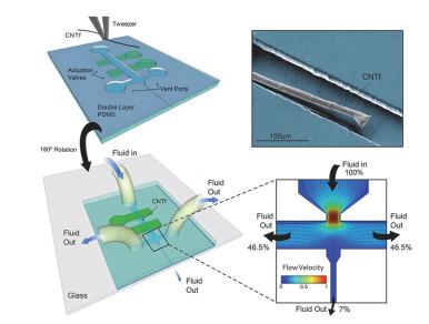 基于碳纳米材料的神经电极技术