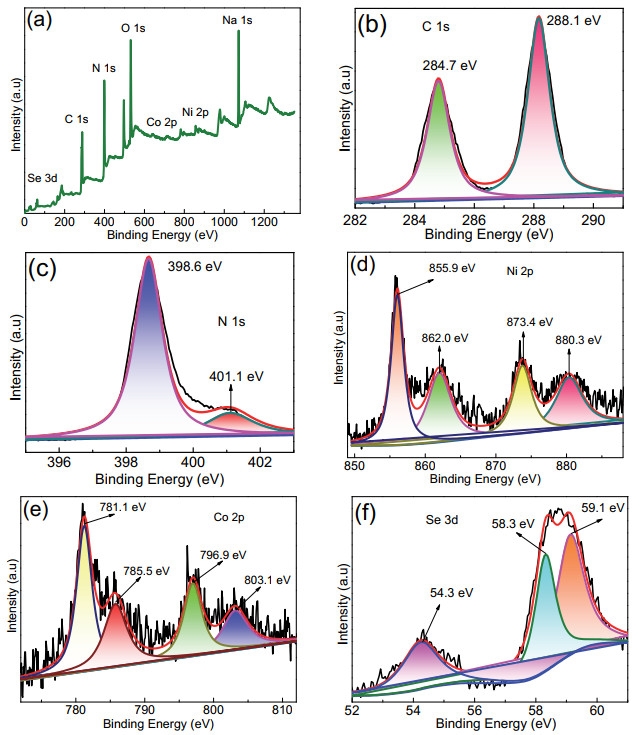 Ni, Co基硒化物修饰g-C 3 N 4 光催化产氢研究