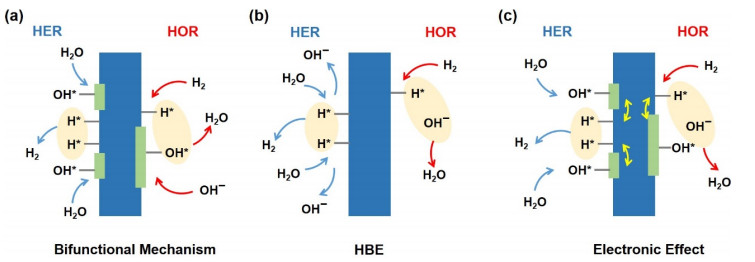 碱性介质中氢氧化和析氢反应机理研究现状