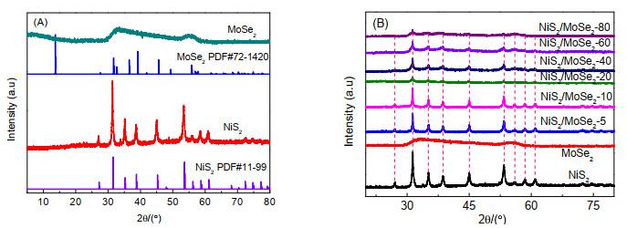 构建NiS2/MoSe2 S型异质结高效光催化产氢