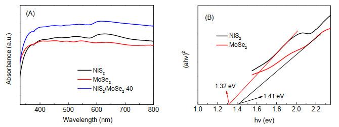 构建NiS2/MoSe2 S型异质结高效光催化产氢