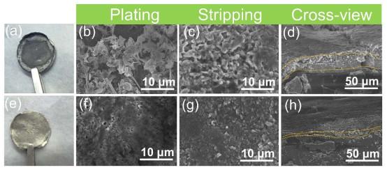 稳定锂电化学沉积和溶解行为的LiC6异质微结构界面层