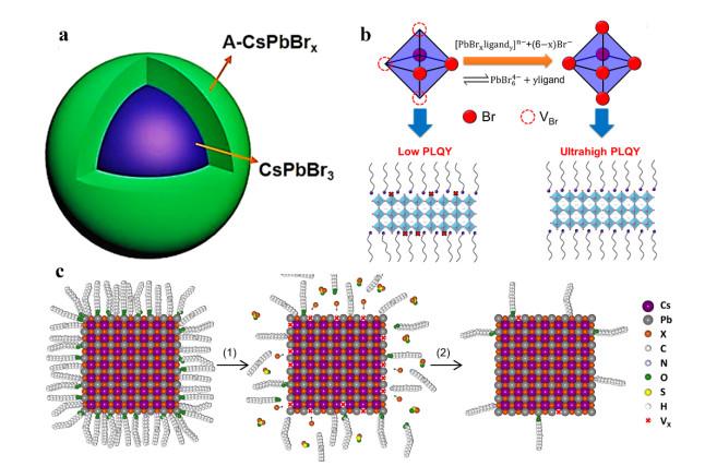 蓝光钙钛矿发光二极管：机遇与挑战