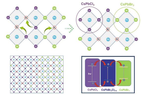蓝光钙钛矿发光二极管：机遇与挑战