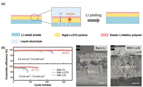 人工界面层在金属锂负极中的应用