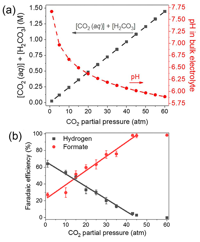 用于二氧化碳电催化还原的电解器研究进展