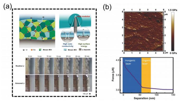锂电池中固体电解质界面研究进展