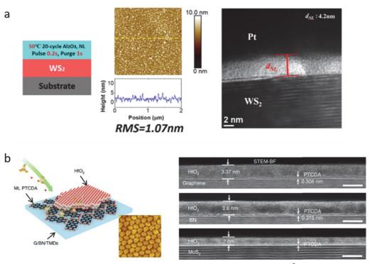 二维材料最新研究进展
